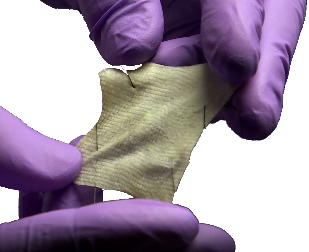 ReadiGraft® Pericardium | LifeNet Health