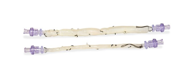 CardioGraft® Pediatric Conduit | LifeNet Health