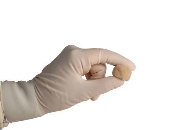 OraGraft® Prime | LifeNet Health
